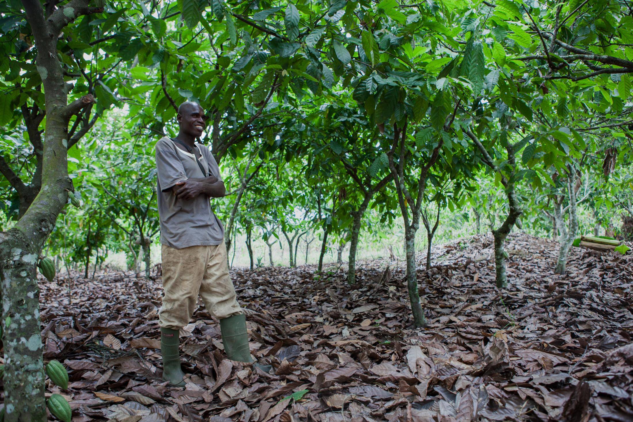 Cocoa Horizons | Barry Callebaut Cocoa Horizons | Barry Callebaut